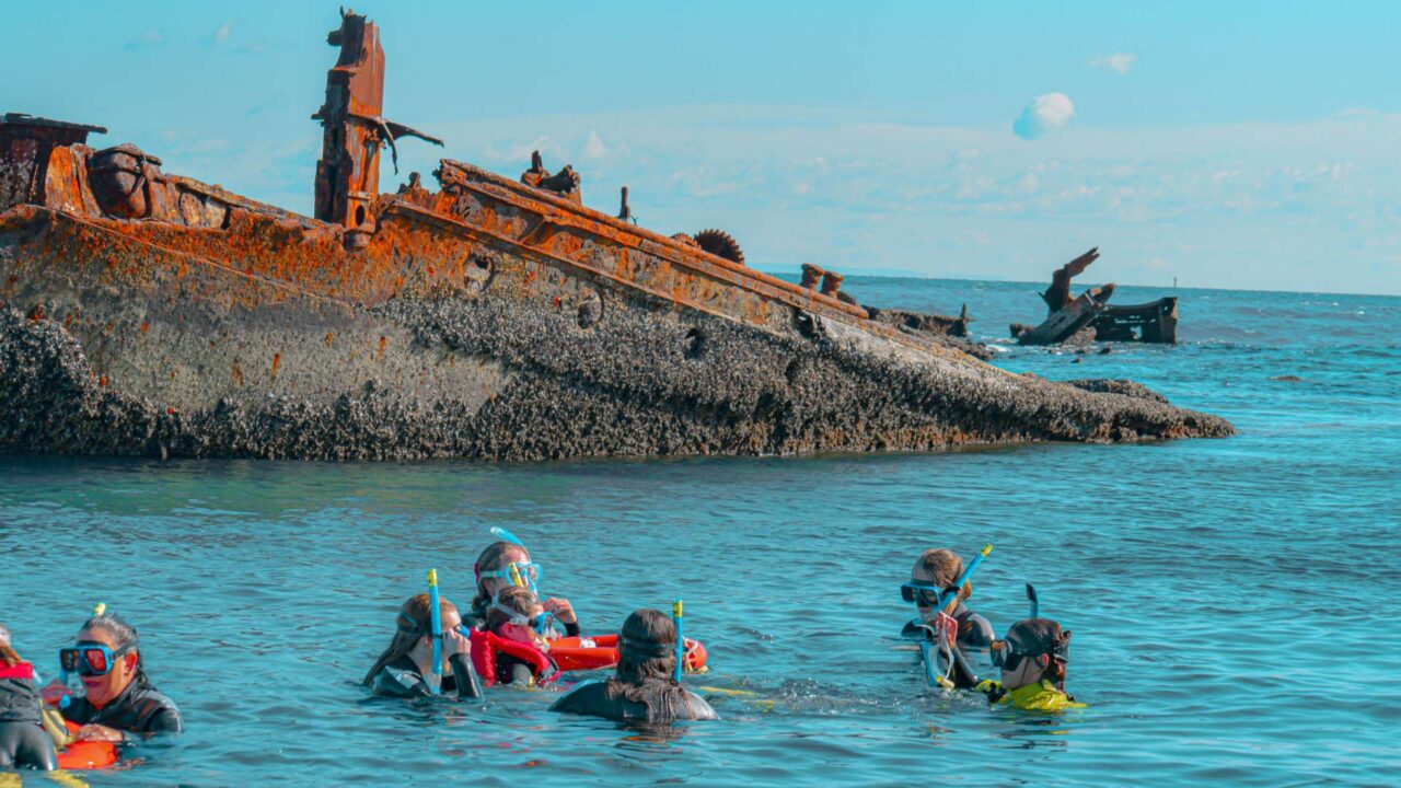 Tangalooma Wrecks Guided Snorkel from Brisbane | River To Bay