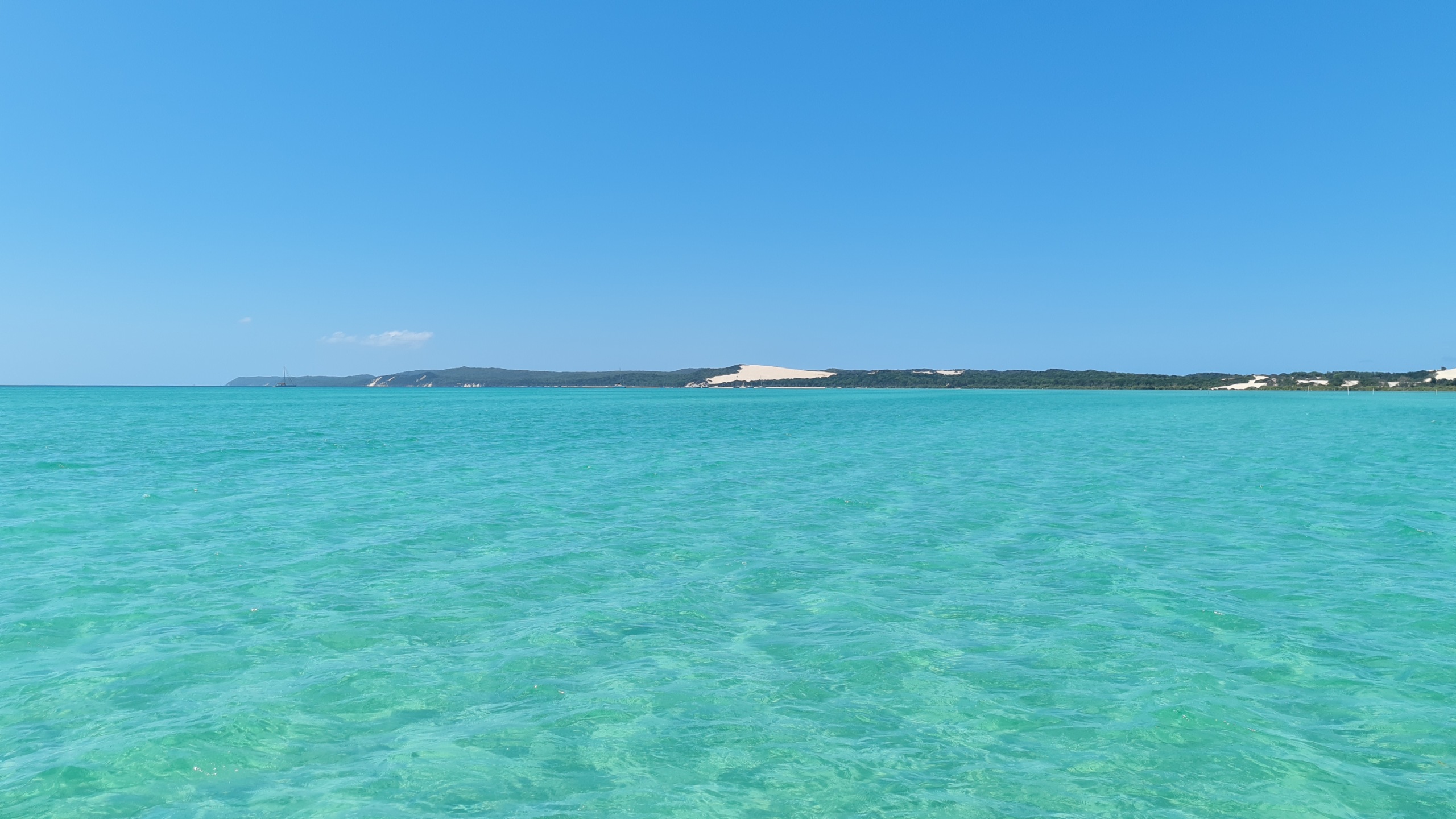 Champagne & Oysters Straight from The Ocean - River To Bay